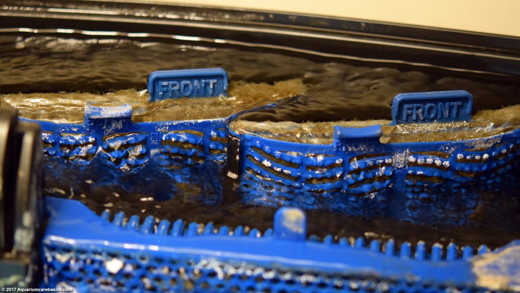 Aquarium Filters: Mechanical, Biological & Chemical Filtration