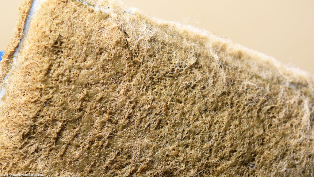 Aquarium Filters: Mechanical, Biological & Chemical Filtration