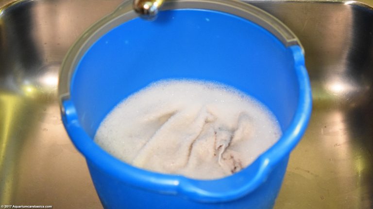 Aquarium Buckets: An Important Aquarium Accessory